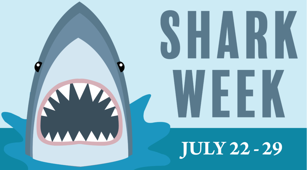 Shark Week | Muncie Children's Museum